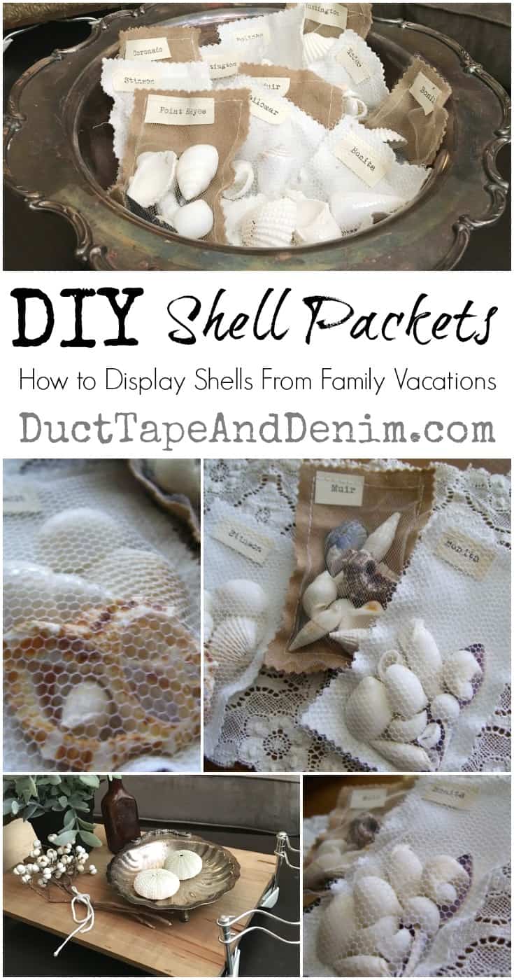 Beach Decor | How to Display Shell Collections