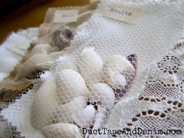 Beach Decor | How to Display Shell Collections