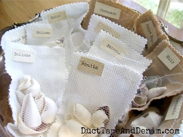 Beach Decor | How to Display Shell Collections