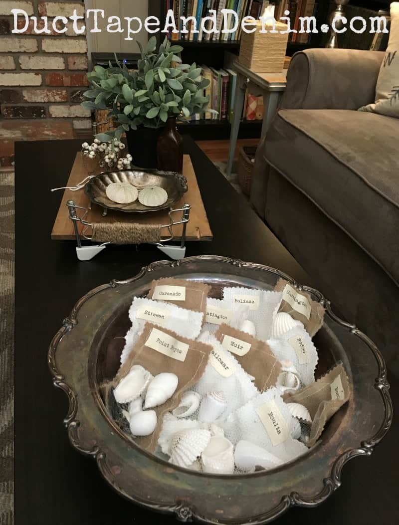 Beach Decor | How to Display Shell Collections