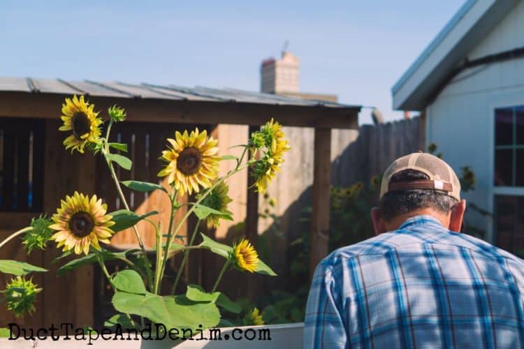 Our Visit to Magnolia Garden Center at Magnolia Market in Waco TX