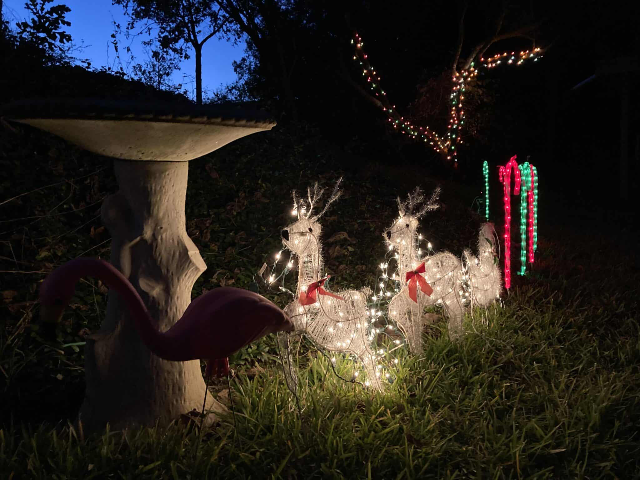 15 Unique Outdoor Christmas Light Ideas for Your House & Gates